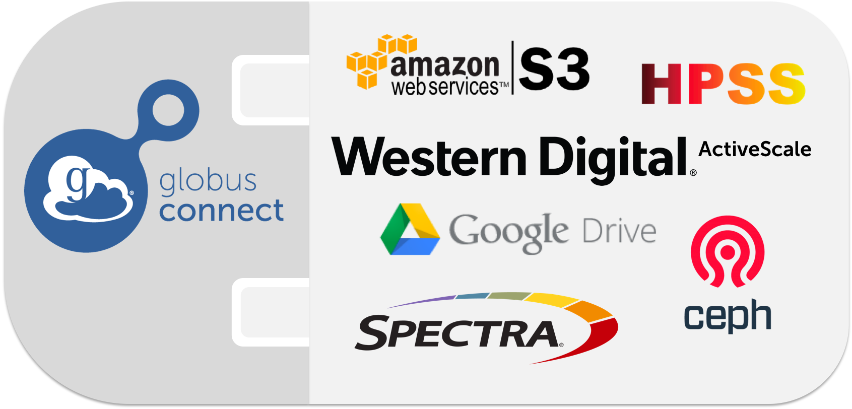 Premium Storage Connectors | globus